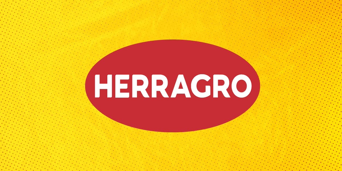 Pala Azadon No 2 - T1201390001 | Tienda Herragro
